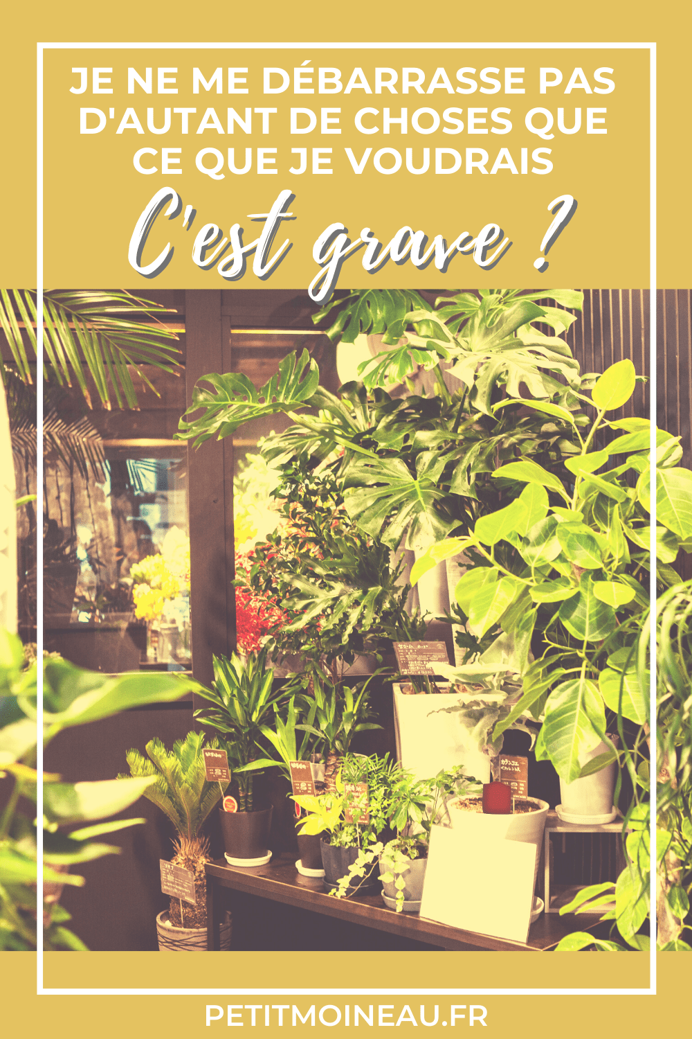 Se débarrasser de tout, comment et pourquoi ? - Petit Moineau